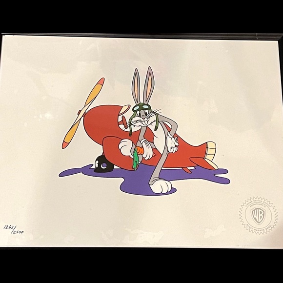 Warner Bros. | Art | Warner Brothers Bugs Bunny Plane | Poshmark